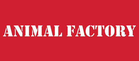 CAEM - Case Study: French Pet Stores