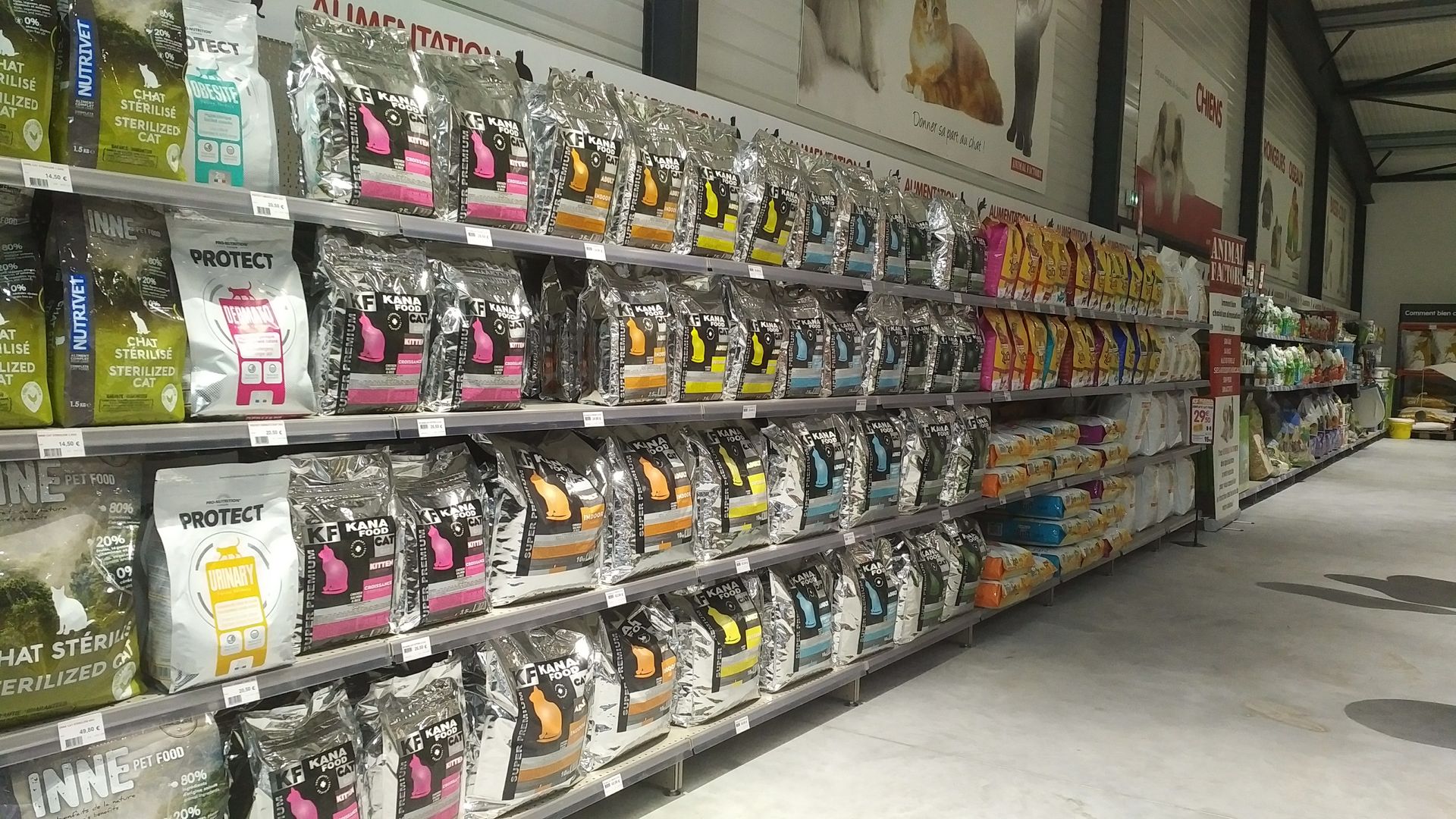 Pet Store Shelving Insights for Success | CAEM Retail Display Solutions